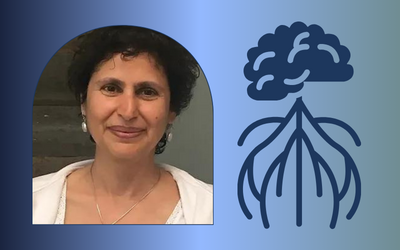 Relaxed and Resilient Nervous System - Brain Injury Services