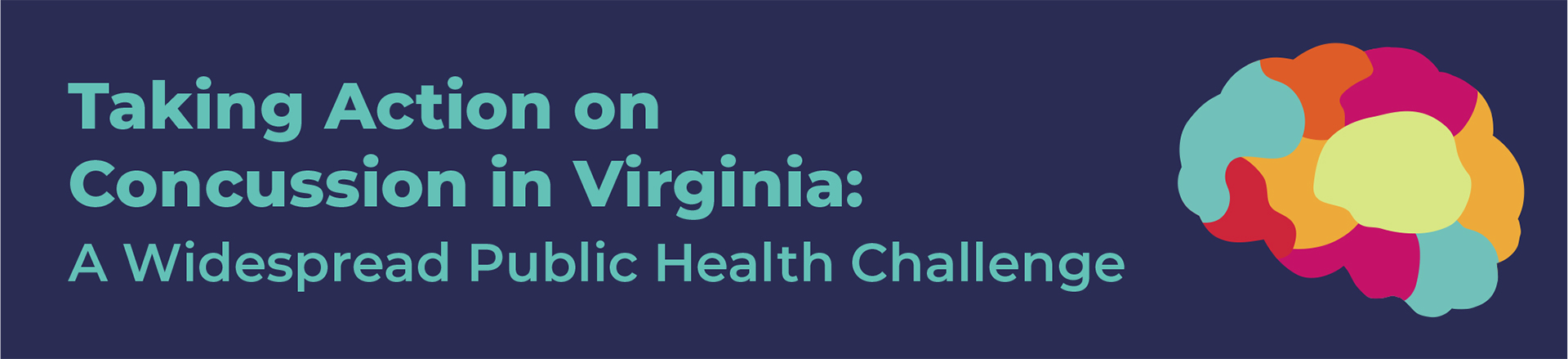 BIS Concussion Recovery Campaign - Brain Injury Services